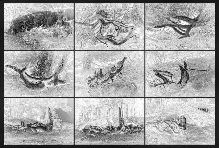 Gallery | Points Of View Artists of Brunswick, Maine